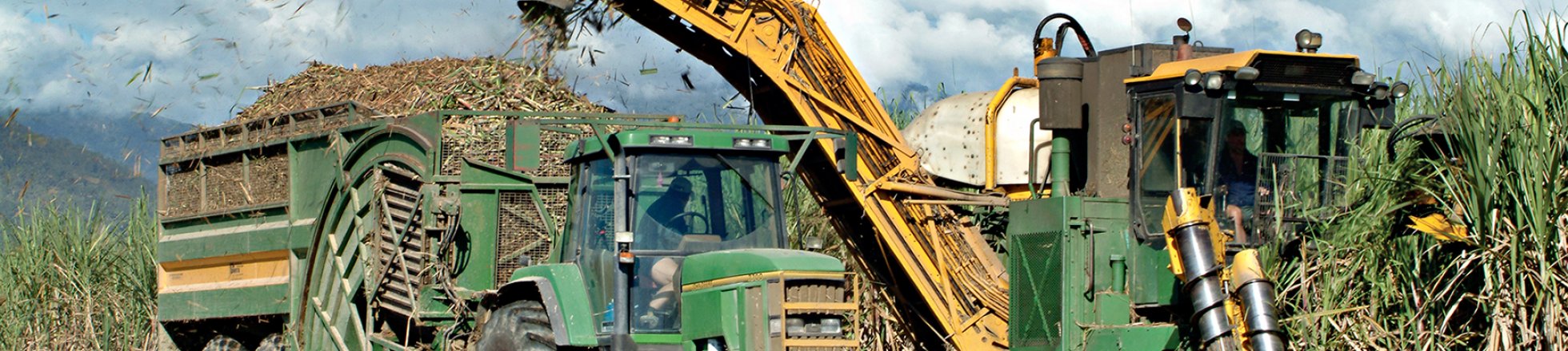 Elders Insurance Ingham | Elders Insurance