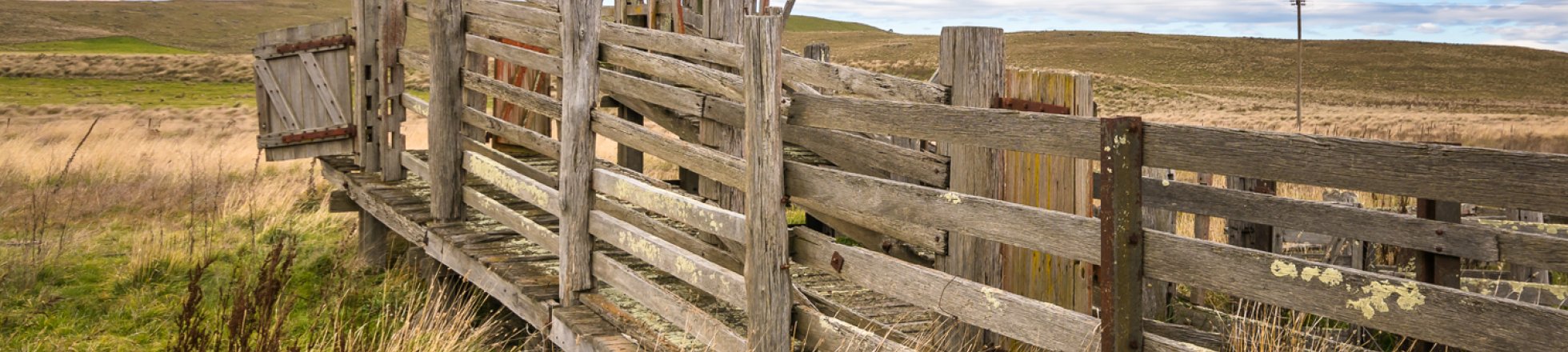 Elders Insurance Cooma | Elders Insurance