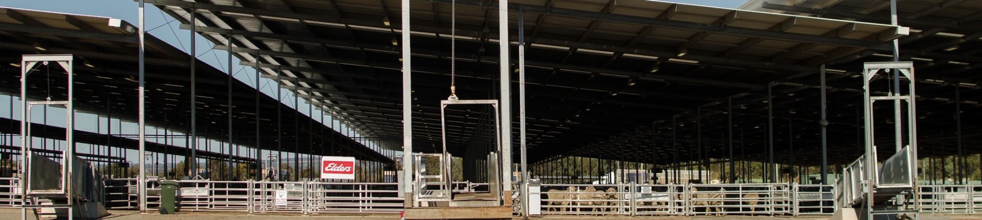 Elders Insurance Katanning | Elders Insurance