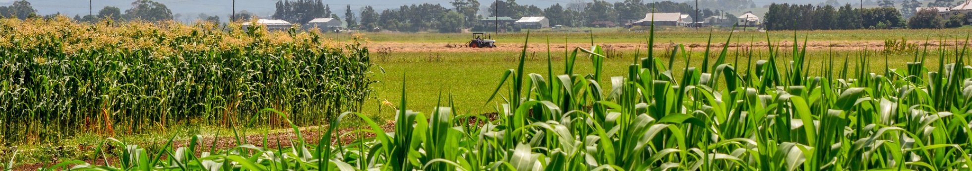 Elders Insurance Maitland | Elders Insurance