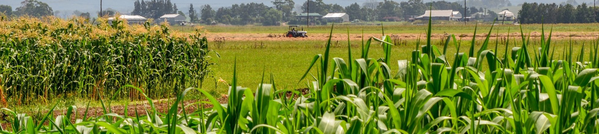 Elders Insurance Maitland | Elders Insurance