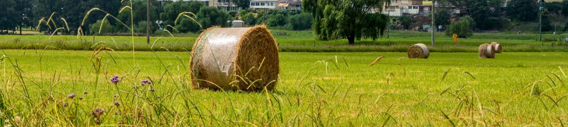 Elders Insurance Maitland | Elders Insurance