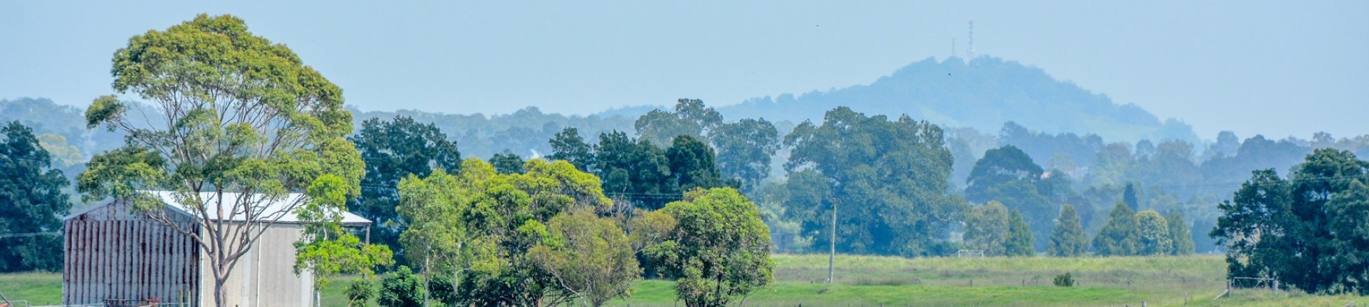 Elders Insurance Maitland | Elders Insurance