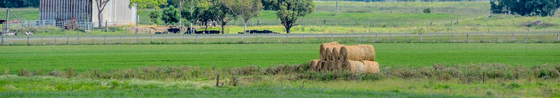 Elders Insurance Maitland | Elders Insurance