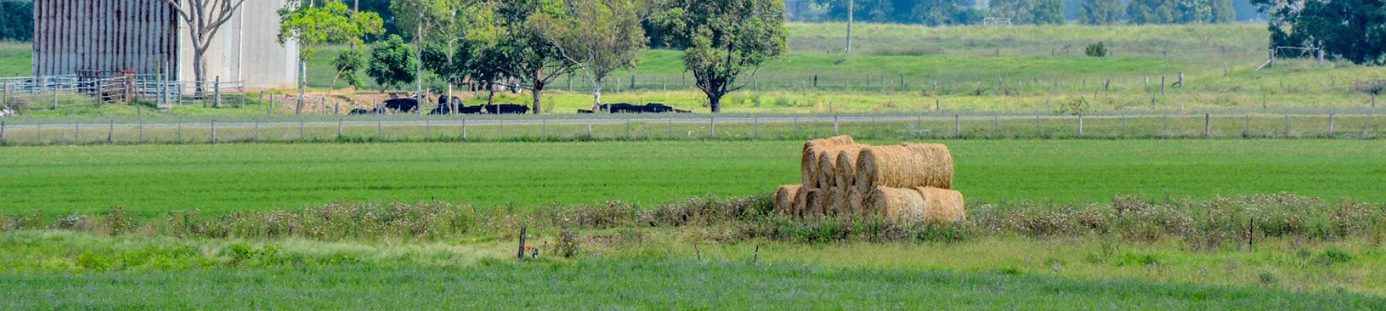 Elders Insurance Maitland | Elders Insurance