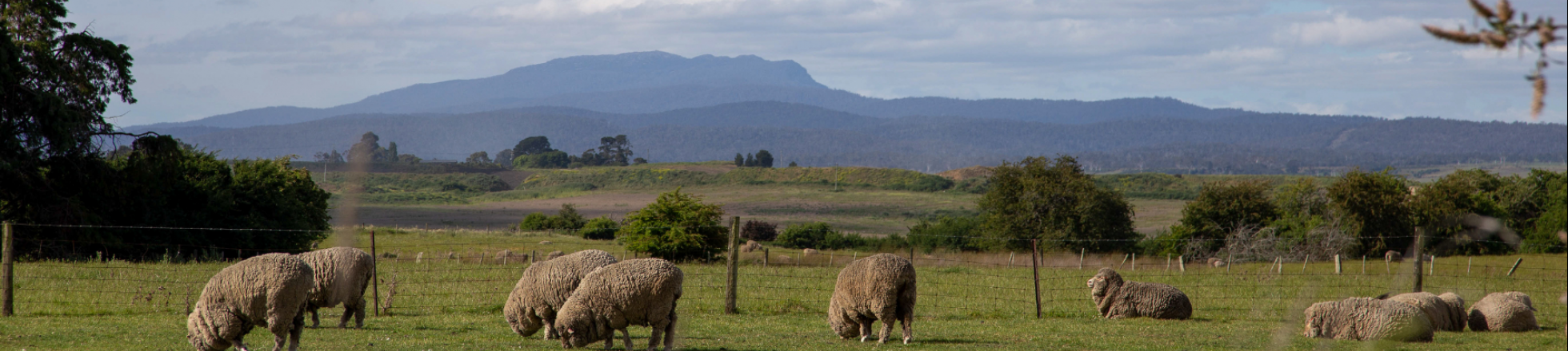 Elders Insurance Launceston | Elders Insurance